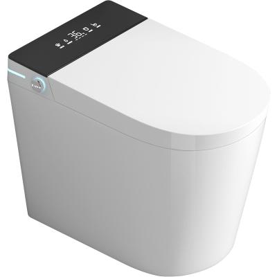 Cina WC intelligente con bidet e scarico automatico e sedile antibatterico personalizzato in vendita
