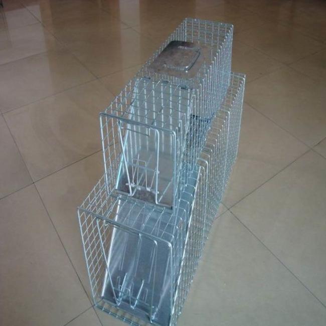 Custom Size Galvanized Iron Wire Mouse Chipmunks Weasel Gopher Animal Rat Trap Cage Mouse Trap Cage