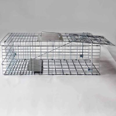 China Custom Size Galvanized Iron Wire Mouse Chipmunks Weasel Gopher Animal Rat Trap Cage Mouse Trap Cage for sale