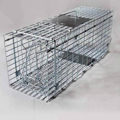 China Custom Size Galvanized Iron Wire Mouse Chipmunks Weasel Gopher Animal Rat Trap Cage Mouse Trap Cage for sale