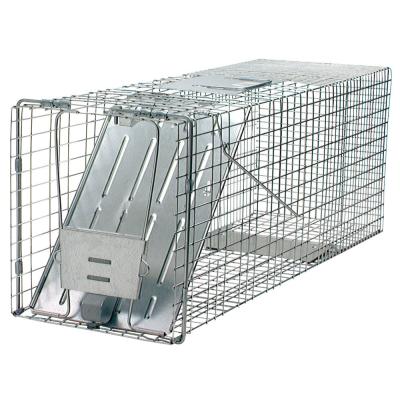China Custom Size Galvanized Iron Wire Mouse Chipmunks Weasel Gopher Animal Rat Trap Cage Mouse Trap Cage for sale