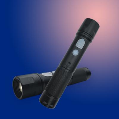 Cina Night Patrol Software di gestione del sistema di sicurezza LED Audio Vibration Cue Wand 170g in vendita