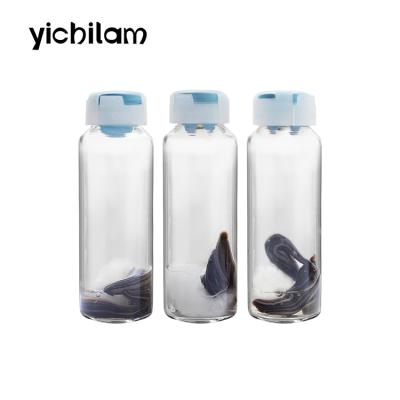China Hungry Leech Hirudo Medicinalis 2-3cm Length For Contemporary Medical Use for sale