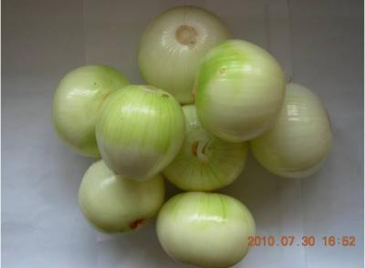 中国 タマネギの皮機械、野菜処理機械300KG/H容量 販売のため