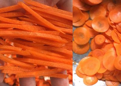 China col del equipo de proceso de la cebolla de la verdura de raíz 1000kg/h que destroza el cortador de la espinaca en venta