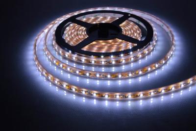 Cina SMD3528 LA CC 24V raffredda la lampada bianca delle strisce del LED, lampade fluorescenti flessibili del LED per la decorazione dell'automobile in vendita
