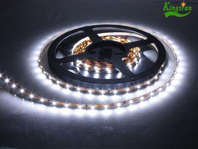 Cina Lampade fluorescenti d'accensione decorative di bassa tensione LED di RGB, bianco freddo della luce della cinghia del LED in vendita