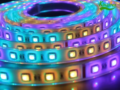 Cina Luce su luminosa della corda di bassa tensione LED della striscia di CC 24V RGB per l'automobile/pubblicità in vendita