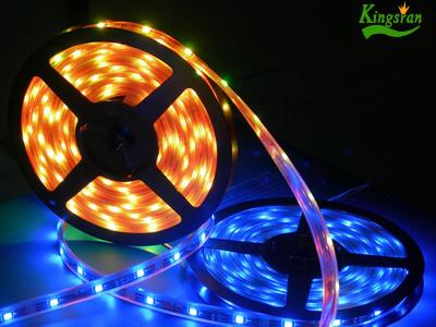 Cina Lampade fluorescenti flessibili impermeabili di bassa tensione LED di IP65 5M 5050 verde blu rossi di SMD in vendita