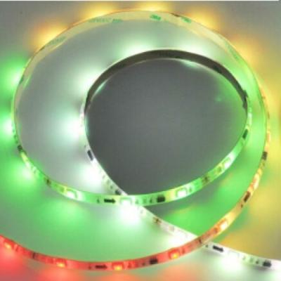 Cina Luce di striscia 24V/di DC12V RGB 5050 LED Digital per la decorazione Natale/di festival in vendita