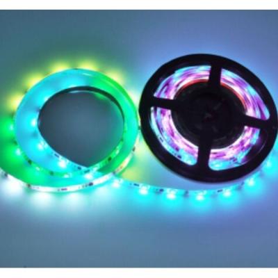 Cina Lampada di umore della luce di striscia di DC12V RGB SMD 5050 LED Digital 2 anni di garanzia con IC in vendita
