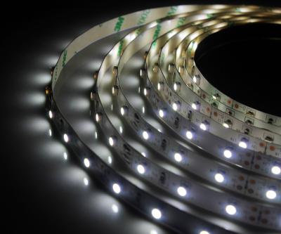 Cina Le lampade fluorescenti di bassa tensione LED di DC12V 12Watt riscaldano SMD bianco/bianco 2835 120led in vendita