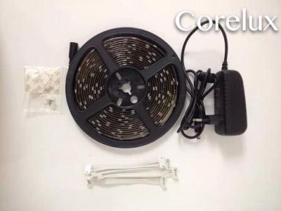 Cina porpora UV dei corredi SMD5050 della luce di striscia di 12V 7.2W 50000Hours LED per l'anti falsificazione in vendita