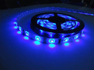 Cina SMD5050 lampade fluorescenti di bassa tensione LED, illuminazione decorativa di multi colore in vendita