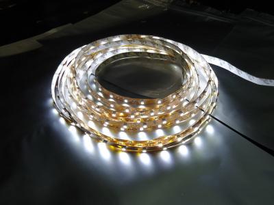 Cina SMD3528 basso risparmio energetico impermeabile luminoso eccellente delle lampade fluorescenti 120leds 9.6W/M di tensione LED in vendita