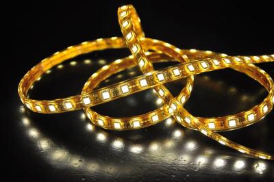 Cina Corredo della striscia di SMD3528 30leds/m 3M LED con la scatola dei colori del silicone dell'adattatore IP65 in vendita