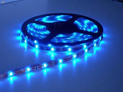 Cina Le lampade fluorescenti di bassa tensione LED di RGB 60Leds impermeabilizzano DC24V SMD5050 con l'adattatore in vendita