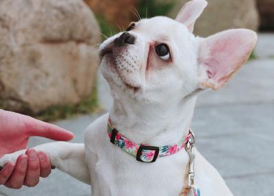 Chine 2.5cm colliers de 1 de pouce de fleur chien de polyester et collier mou de chiot de harnais extérieur à vendre