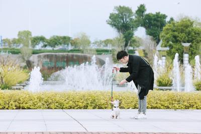 중국 5 피트 4 피트 반대 당기기 애견 가죽끈 판매용