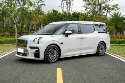 Cina Automobile elettrica di Seater del motore doppio di media grandezza di lusso sei delle automobili MPV di ZEEKR 009 EV in vendita