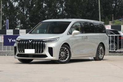 Cina Veicoli di lusso della guida a sinistra di New Energy dell'automobile elettrica del sognatore MPV di Voyah in vendita