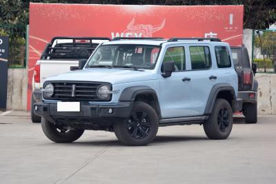 Cina Tank 300 Big Suv Fuel Powered Car With Automatic Transmission And 5 Seats in vendita