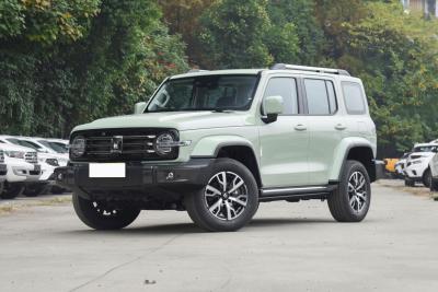 Cina Tank 300 big suv Fuel Powered Car 5 Doors 25 Mpg for Sale in vendita