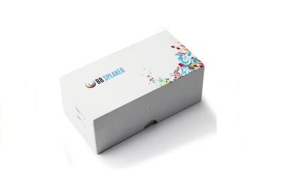 Китай 4 коробки подарка диктора BB печатания цвета упаковывая с основанием крышки продается