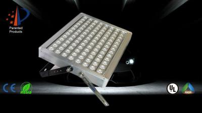 Cina Luci 1000 di inondazione principali luminose eccellenti pure di bianco W Aluminym IP67 per lo stadio in vendita