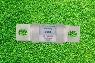 Cina Fusibile a semiconduttore del caricatore DC500V di EV, fusibile di protezione della batteria di EV in vendita