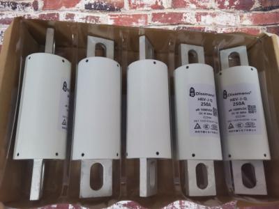 China 250A de ceramische Automobielzekeringen van de de Energiebatterij van Zekeringendc1000v HEV Zekeringen Te koop