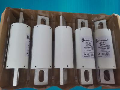 China TUV Verklaarde HEV-Leverancier van de Reekszekering in de Ceramische Automobielzekeringen van China Te koop