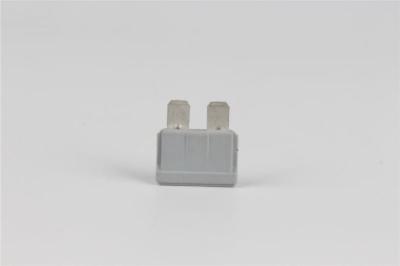 Cina Fusibili del veicolo elettrico 125VAC, legno elettrico Shell di 40 amp del fusibile sostituto veloce di CC in vendita