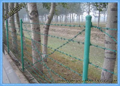 Chine Double barbelé militaire galvanisé de torsion par noyau pour la clôture et les barrières de sécurité à vendre