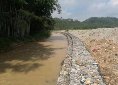 Cina Torsione diritta che tesse la maglia galvanizzata del canestro del gabbione in vendita