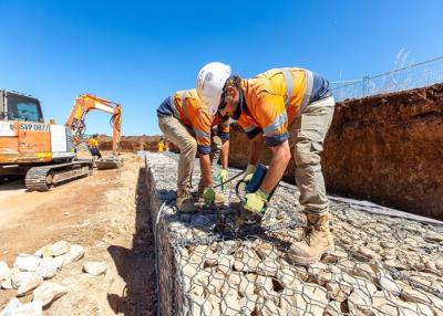 Cina Il PVC esagonale inossidabile ISO9001 ha ricoperto la rete metallica in vendita