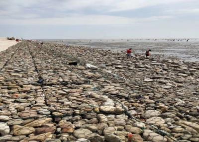 Cina La sponda del fiume 270g zinca la rete metallica esagonale rivestita in vendita