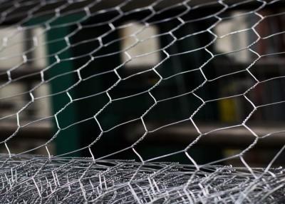 Cina Elettro rete metallica galvanizzata della sfortuna del pollo del coniglio in vendita