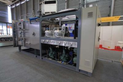Cina Liofilizzatore più asciutto medico della gelata di vuoto degli ss 380V 500kg/Batch in vendita