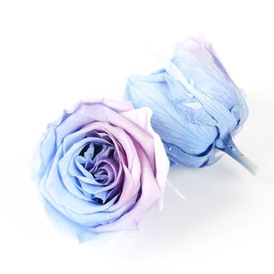 中国 4-5cmはローズの頭部の容易な豪華な花色を維持しま他の色に一致させます 販売のため