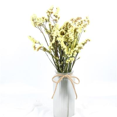 Cina Fiori secchi del Limonium di Statice bei bei con lungamente facendo uso di tempo in vendita