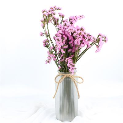 Cina Myosotis secco del Limonium di Statice dei fiori di stile di modo bello in vendita