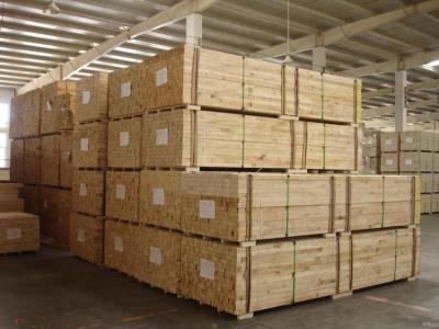 Cina Alte plance di legno di capacità di carico l'OSHA, compensato della sostituzione per l'armatura in vendita