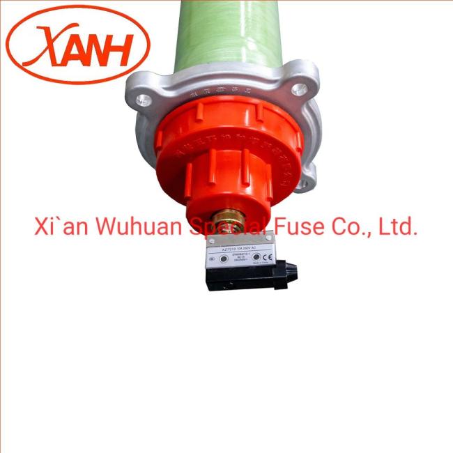 Xrnt-40.5q Current-Limiting Fuse for Protection of Transformer of Wind Power Station