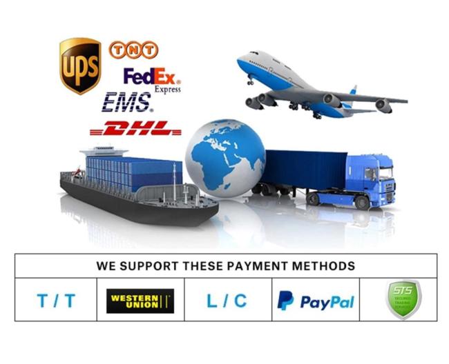 Bay-O-Net Tap Changer Switch Fuse for Oil Transformer Prnt4-40.5/25