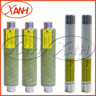 中国 カスタマイズ可能な高圧ファイューズ Xrnp-12kv6kv/0.5A1a2a サイズ 25*195 販売のため