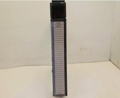 Cina IC697MDL753 GE Discrete Output Module Larghezza 50 mm in vendita