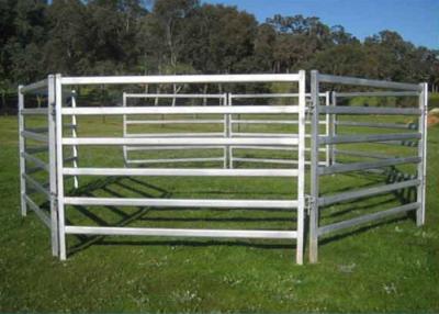Chine Le corral extrêmement durable de cheval lambrisse le matériel lourd d'acier au carbone de mesure à vendre