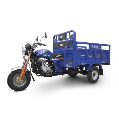 Chine Peinture ouverte de refroidissement à l'air de corps de tricycle de cargaison de la charge lourde 150CC électro à vendre