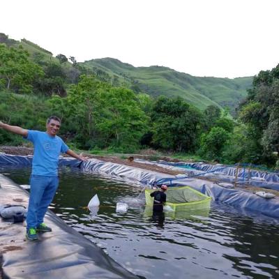 Cina Geomembrana idraulica HDPE per stagno facile da installare e mantenere in vendita